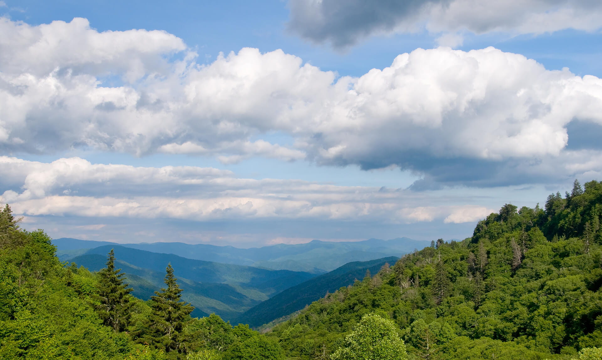 John P. Moore - About Us | Bio